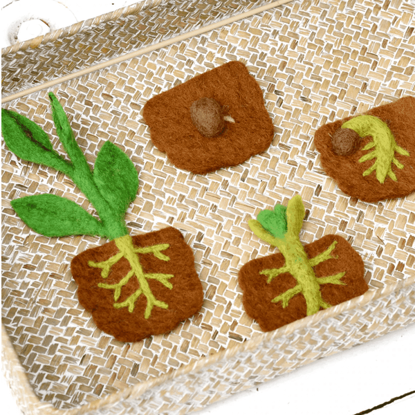 Felt Lifecycle A Bean - The Curated Parcel